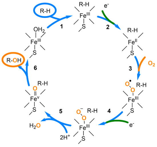 Simple In Vitro 18O Labeling for Improved Mass Spectrometry-Based Drug ...