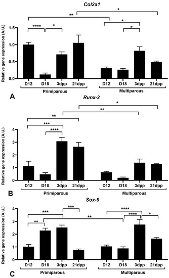 Multiparity and Aging Impact Chondrogenic and Osteogenic Potential at ...