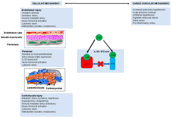 Assessment of sST2 Behaviors to Evaluate Severity/Clinical Impact of ...