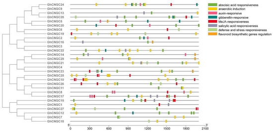 Genome-Wide Identification, Characterization and Experimental ...