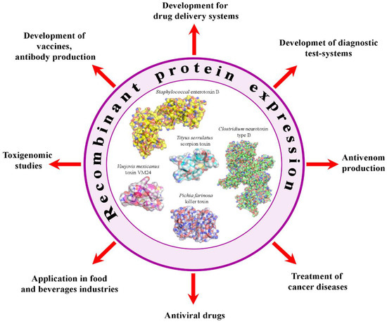 Advanced Situation with Recombinant Toxins: Diversity, Production and ...
