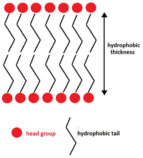 Coarse-Grained Molecular Dynamics of pH-Sensitive Lipids