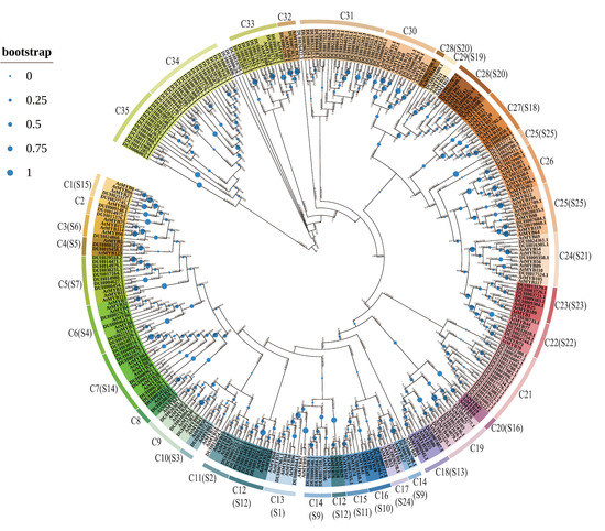 Genome-Wide Analysis of MYB Transcription Factors and Screening of MYBs ...