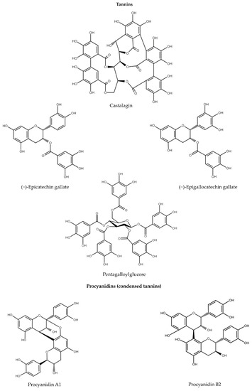 Role of Plant-Derived Compounds in the Molecular Pathways Related to ...