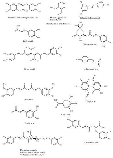 Role of Plant-Derived Compounds in the Molecular Pathways Related to ...