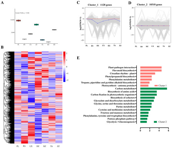 Assessment of ‘Cabernet Sauvignon’ Grape Quality Half-Véraison to ...