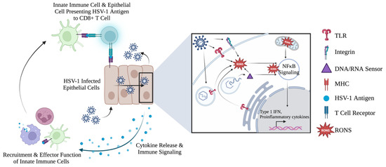 Manipulation of Oxidative Stress Responses by Non-Thermal Plasma to ...