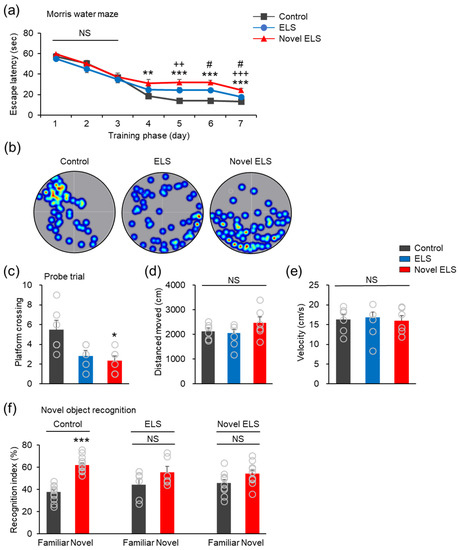 A Novel Early Life Stress Model Affects Brain Development and Behavior ...