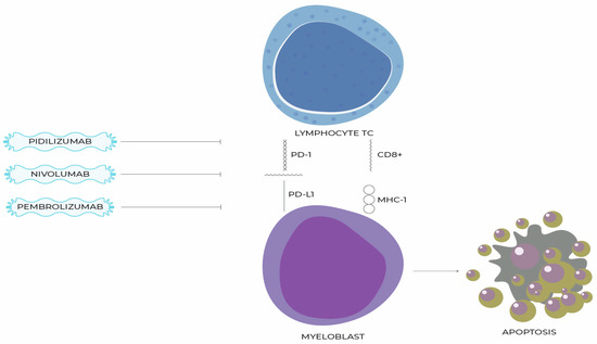 The Role of BCL-2 and PD-1/PD-L1 Pathway in Pathogenesis of ...