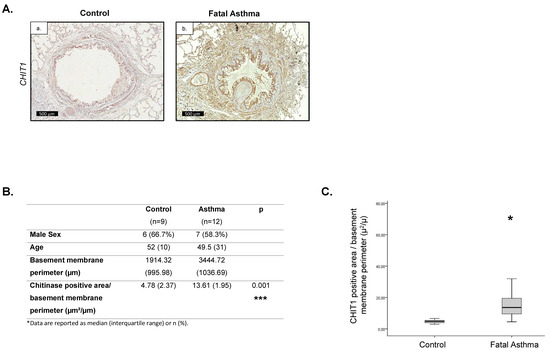 Inhibition of Macrophage-Specific CHIT1 as an Approach to Treat Airway ...