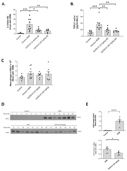 Inhibition of Macrophage-Specific CHIT1 as an Approach to Treat Airway ...