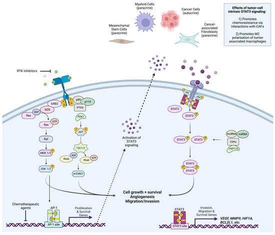 Overcoming Acquired Drug Resistance to Cancer Therapies through Targeted STAT3 Inhibition