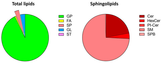 Zebra-Sphinx: Modeling Sphingolipidoses in Zebrafish