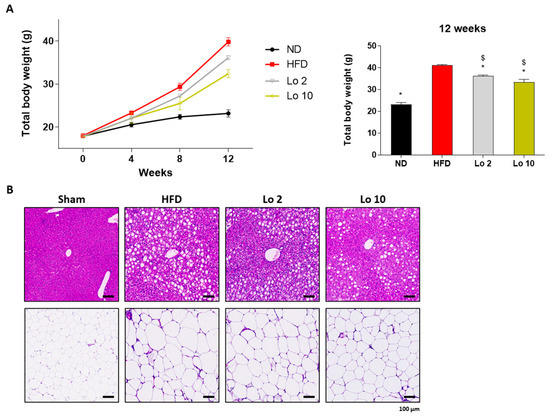 Inhibitory Effects of Loganin on Adipogenesis In Vitro and In Vivo
