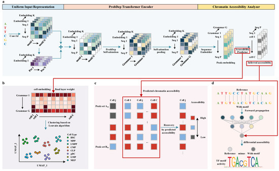 A Unified Deep Learning Framework for Single-Cell ATAC-Seq Analysis Based on ProdDep Transformer ...