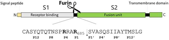 SARS-CoV-2 S Mutations: A Lesson from the Viral World to Understand How ...