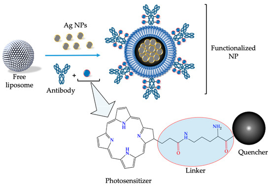 Recent Advances in Green Metallic Nanoparticles for Enhanced Drug ...
