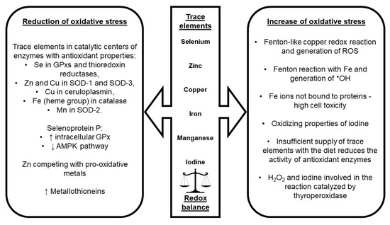 The Role of Selected Trace Elements in Oxidoreductive Homeostasis in Patients with Thyroid Diseases