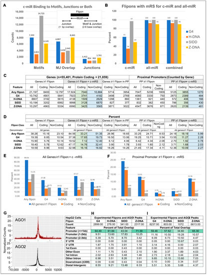 Conserved microRNAs and Flipons Shape Gene Expression during ...