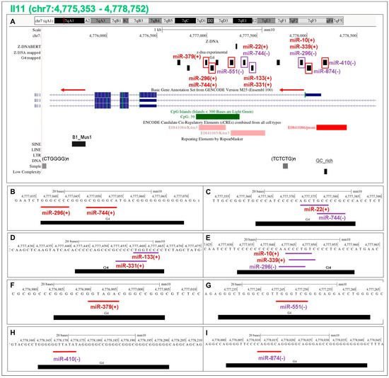 Conserved microRNAs and Flipons Shape Gene Expression during ...