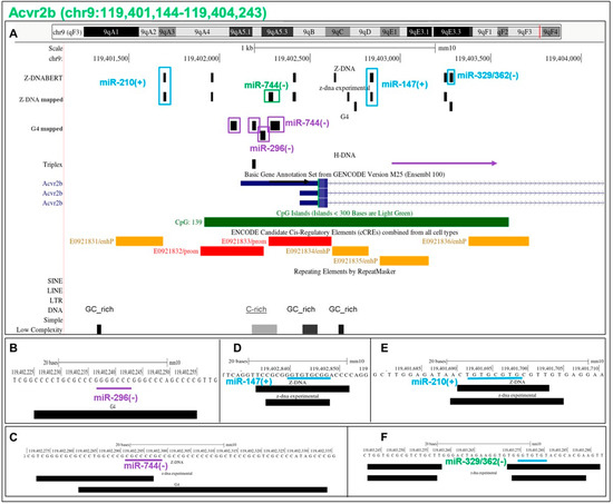 Conserved microRNAs and Flipons Shape Gene Expression during ...