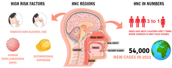 Polydopamine-Based Material and Their Potential in Head and Neck Cancer ...
