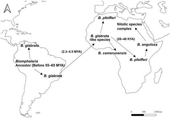 Status Quo and Future Perspectives of Molecular and Genomic Studies on ...