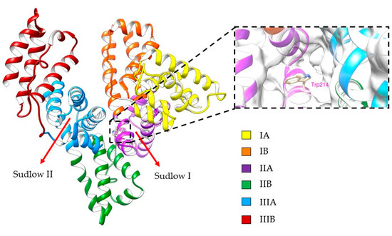 Direct Oral FXa Inhibitors Binding to Human Serum Albumin ...