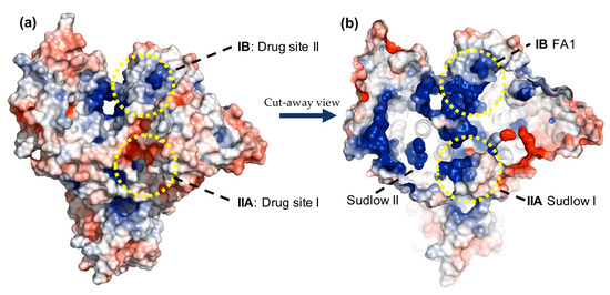 Direct Oral FXa Inhibitors Binding to Human Serum Albumin ...