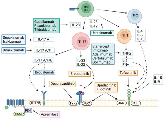 IJMS | Free Full-Text | Psoriatic Arthritis: Pathogenesis and Targeted ...
