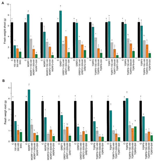 Characterization of the Seed Biopriming, Plant Growth-Promoting and ...