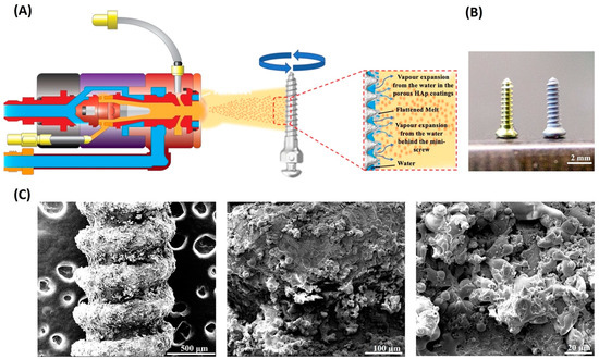 Vapor-Induced Pore-Forming Atmospheric-Plasma-Sprayed Zinc-, Strontium ...