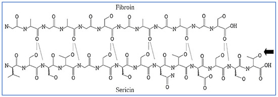 Silk Sericin Protein Materials: Characteristics and Applications in ...