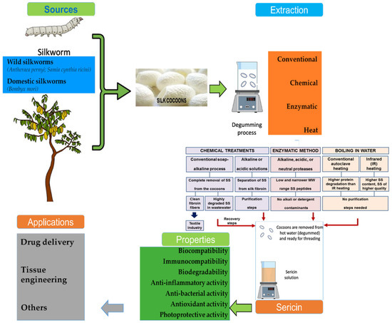 Silk Sericin Protein Materials: Characteristics and Applications in ...