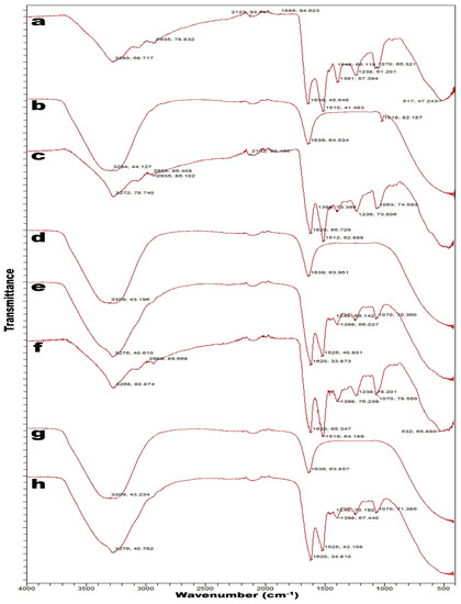 Silk Sericin Protein Materials: Characteristics and Applications in ...