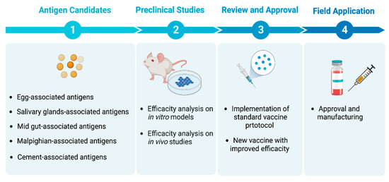Recent Advances in Tick Antigen Discovery and Anti-Tick Vaccine Development