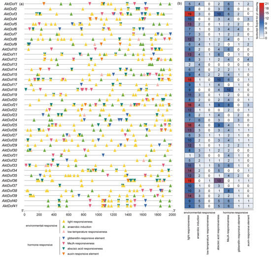 Identification of Photoperiod- and Phytohormone-Responsive DNA-Binding ...