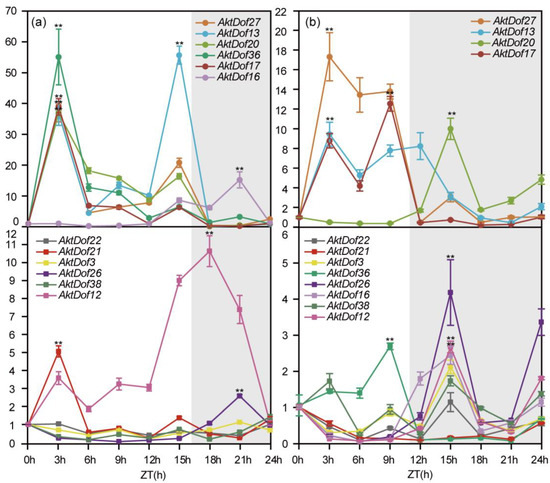 Identification of Photoperiod- and Phytohormone-Responsive DNA-Binding ...