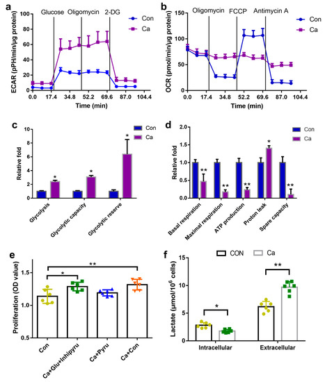 Extracellular Calcium-Induced Calcium Transient Regulating the ...