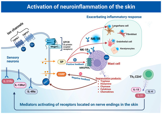 Molecular Mechanisms of Neurogenic Inflammation of the Skin