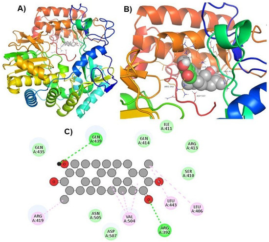 In Silico Screening and Molecular Dynamics Simulation Studies in the Identification of Natural ...
