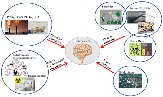 Impacts of Environmental Pollution on Brain Tumorigenesis