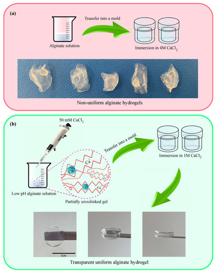 Swelling of Homogeneous Alginate Gels with Multi-Stimuli Sensitivity