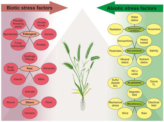 Stress Management in Plants: Examining Provisional and Unique Dose ...