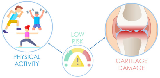 The Role of Lubricin, Irisin and Exercise in the Prevention and ...