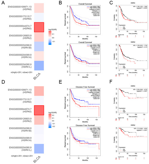 HSPA5 Promotes the Proliferation, Metastasis and Regulates Ferroptosis ...