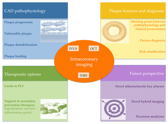 Intracoronary Imaging of Coronary Atherosclerotic Plaque: From ...