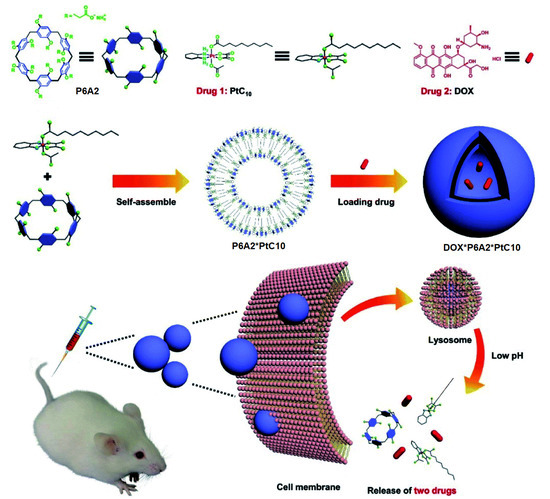 Pillararenes as Promising Carriers for Drug Delivery