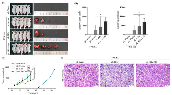C-Terminal Truncated HBx Facilitates Oncogenesis by Modulating Cell ...
