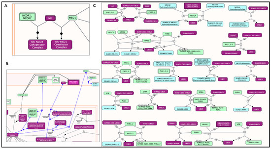 Genetic Networks of Alzheimer’s Disease, Aging, and Longevity in Humans